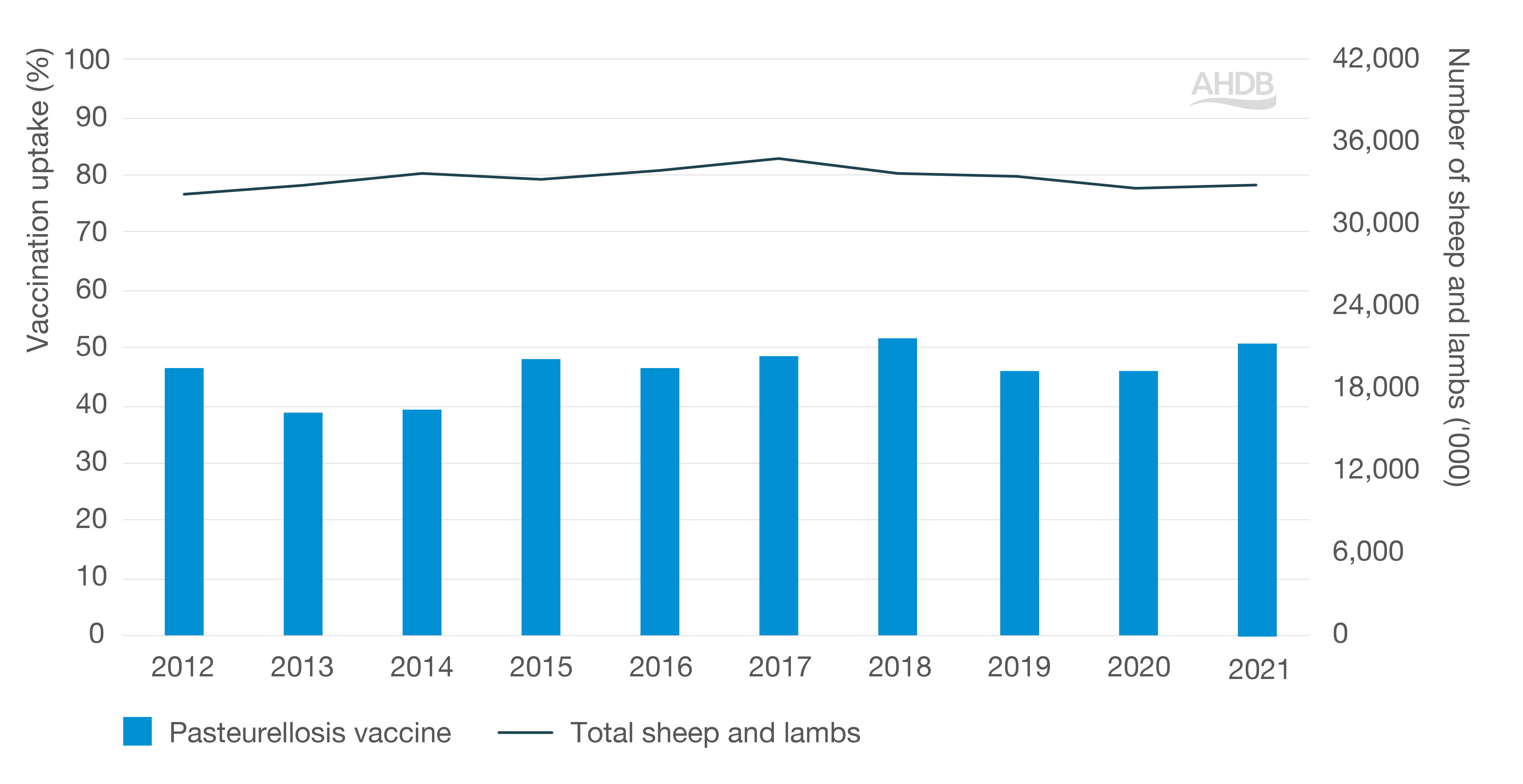 Pasteurellosis vaccines in sheep | AHDB